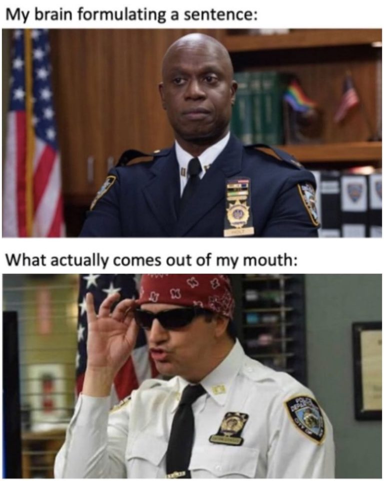 Brooklyn Nine-Nine Memes That’ll Put a Smile on Captain Holt’s Face ...