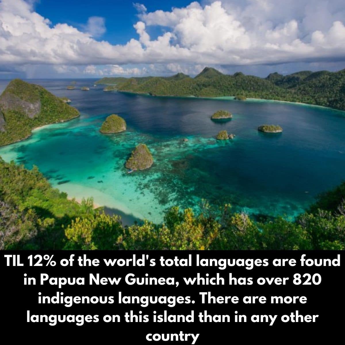 This Subreddit Proves That We’re Never Too Old to Learn Something New ...