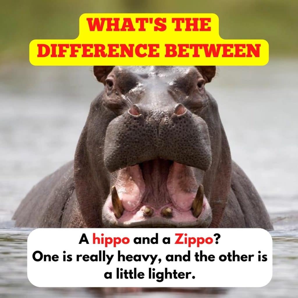 “What’s The Difference Between” Jokes That Made Us Laugh a Little Too ...