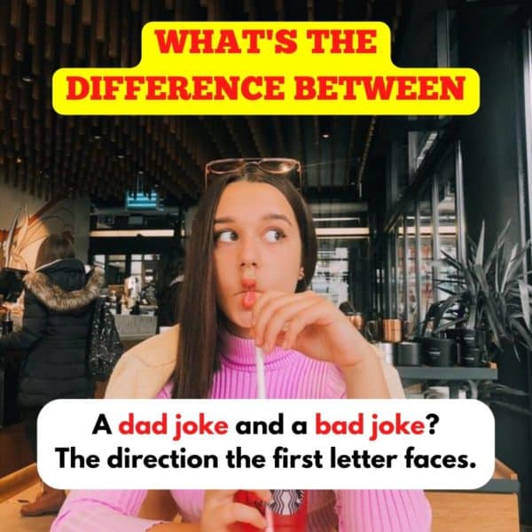 “What’s The Difference Between” Jokes That Made Us Laugh a Little Too ...