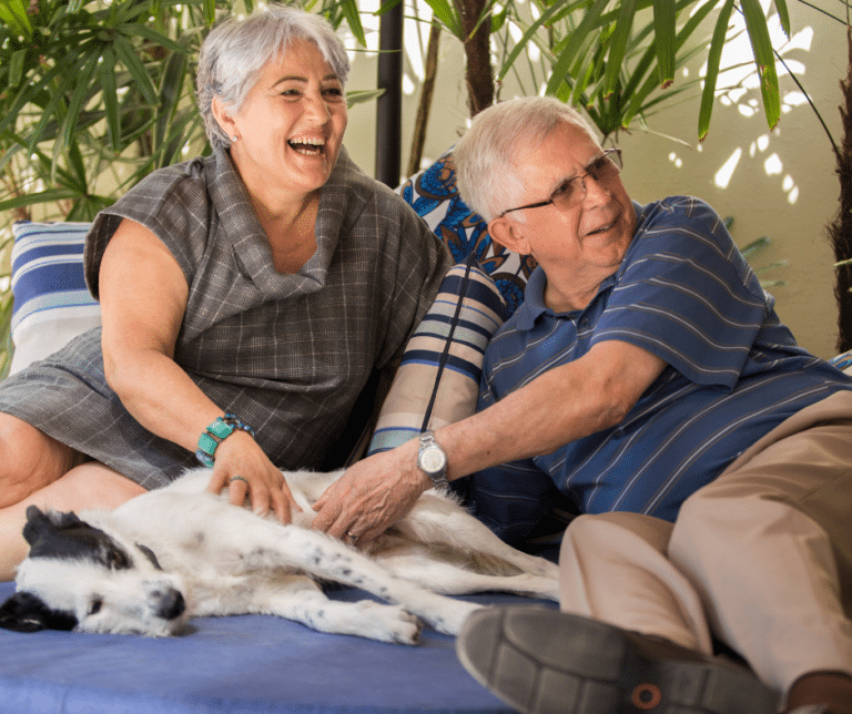 Caring For Elderly Animals: What To Expect