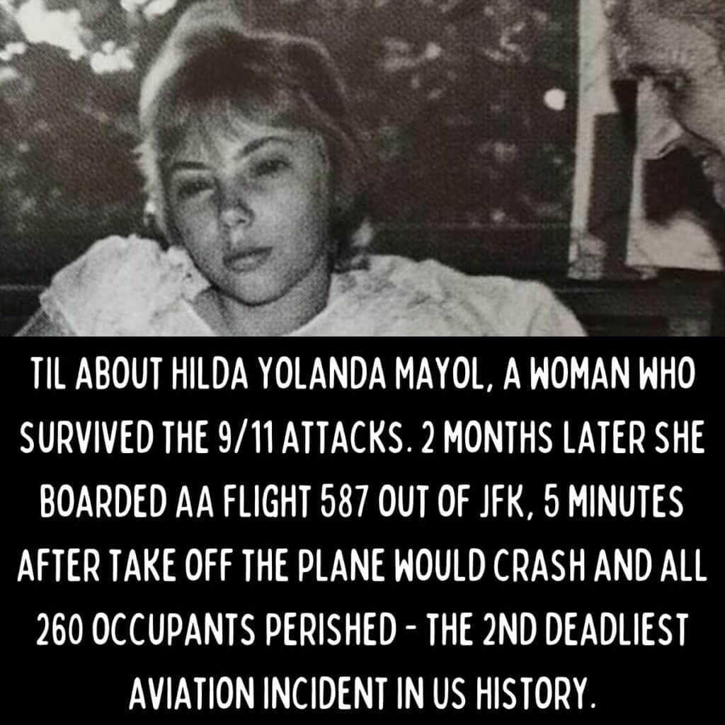 Today I Learned: A Collection of Facts We Didn’t Know We Needed to Know ...