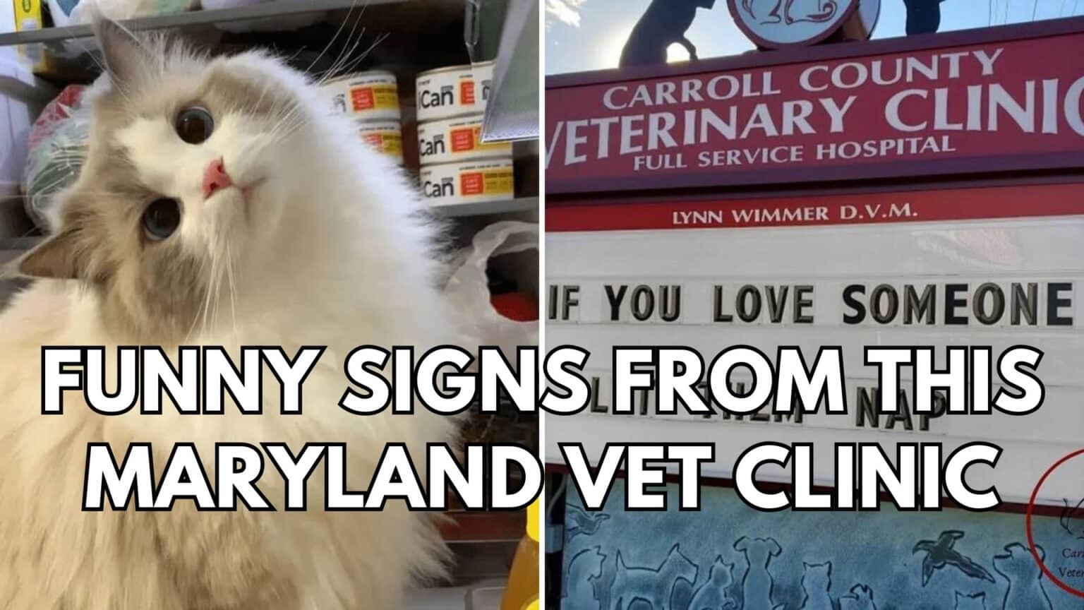 Questionable Signs That Will Make You Laugh Out Loud – Page 40