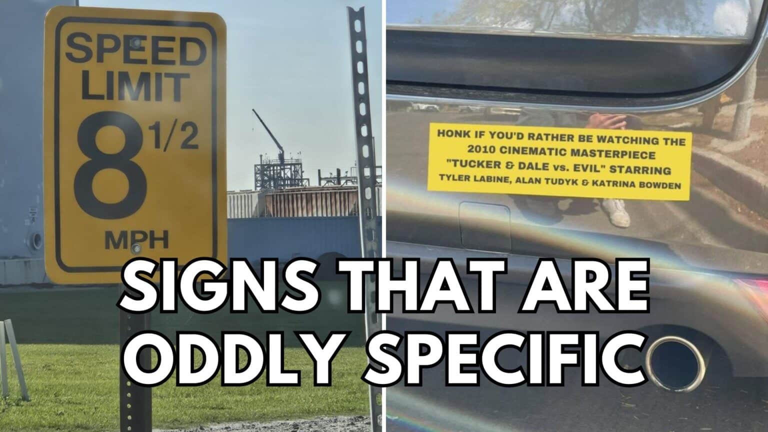 These 48 Signs Are Oddly Specific Yet Entertaining